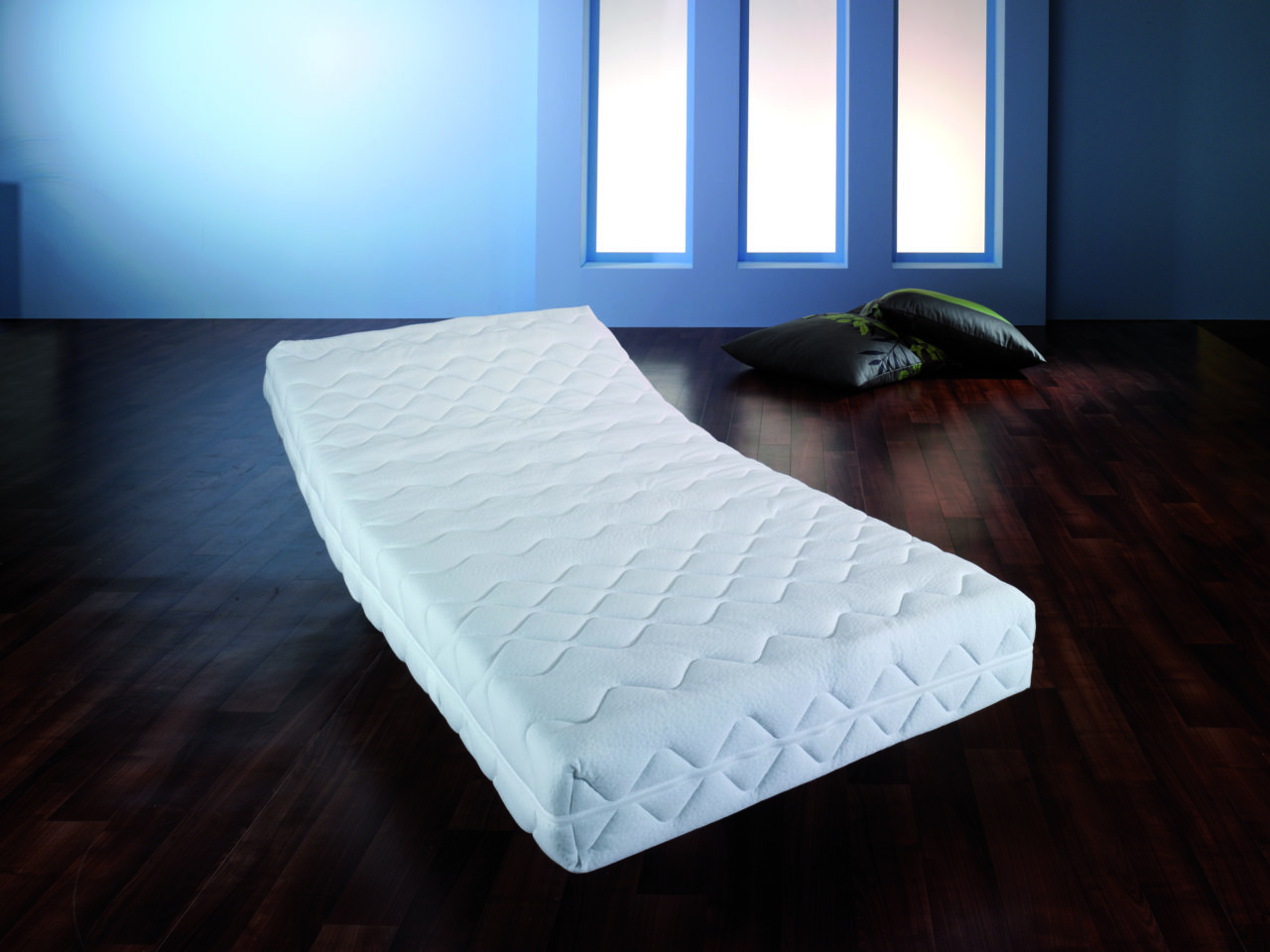 f.a.n. Medisan Plus KS - Seit Jahren bewährt! - Traumbetten-Shop